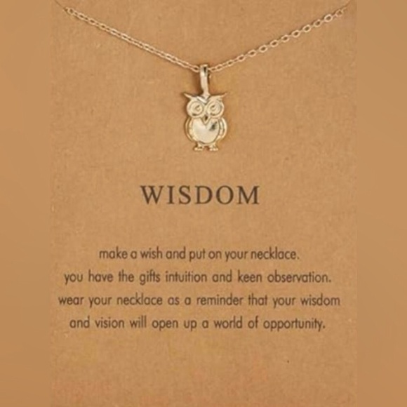 Jewelry | Wisdom Owl Gold Plated Necklace | Poshmark